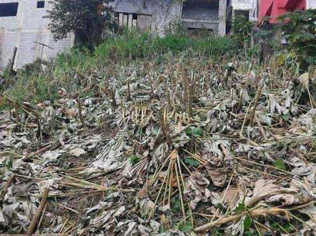 Terreno, Roncon, Ribeirão Pires R$ 120 mil, Cod: 447