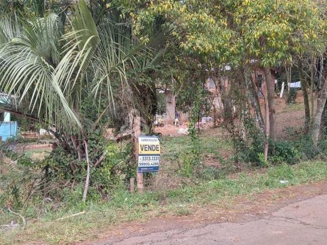 TERRENO ROSELÂNDIA