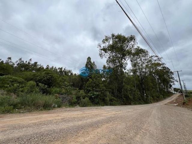 Terreno RS122 com 29.096m² saida para Flores Cunha