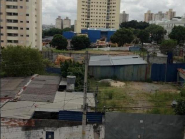TERRENO SUÍSSO