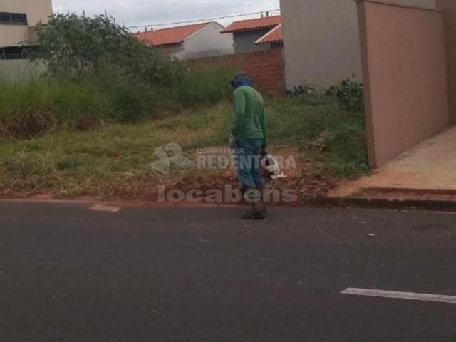 Terreno São Thomaz
