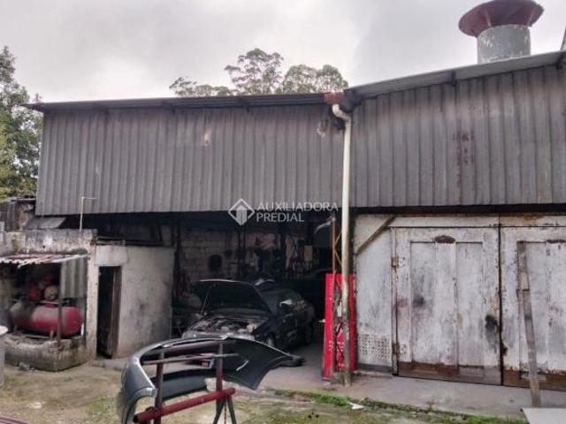 TERRENO SÃO BERNARDO DO CAMPO BAIRRO DEMARCHI