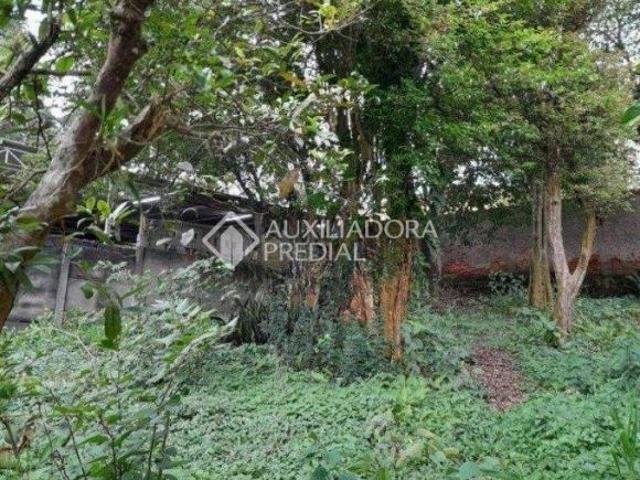 TERRENO SÃO BERNARDO DO CAMPO CENTRO