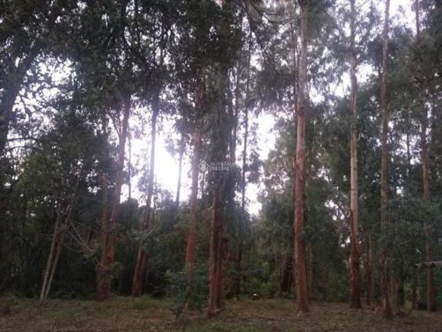 Terreno São Francisco de Paula