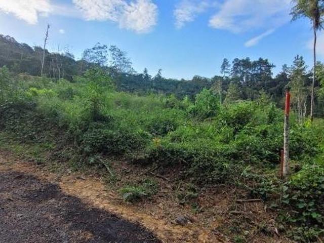 Terreno, São Lourenço da Serra, São Lourenço da Serra, SP