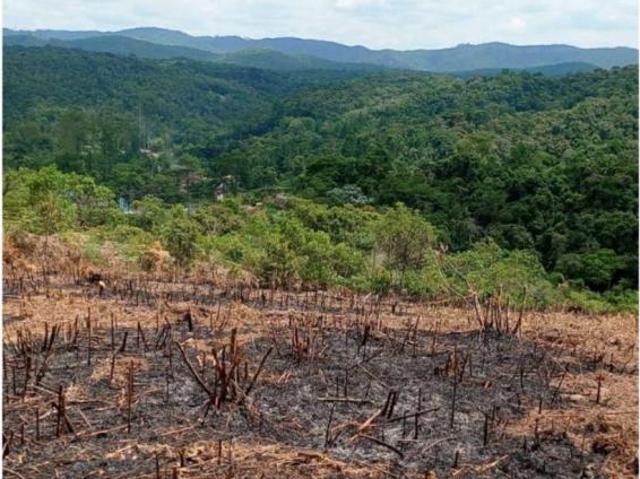 Terreno, São Lourenço, São Lourenço da Serra, SP