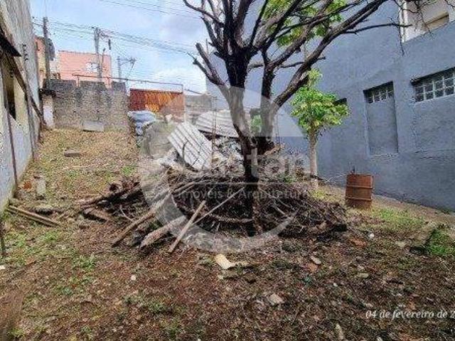 Terreno Residencial em Vila Formosa