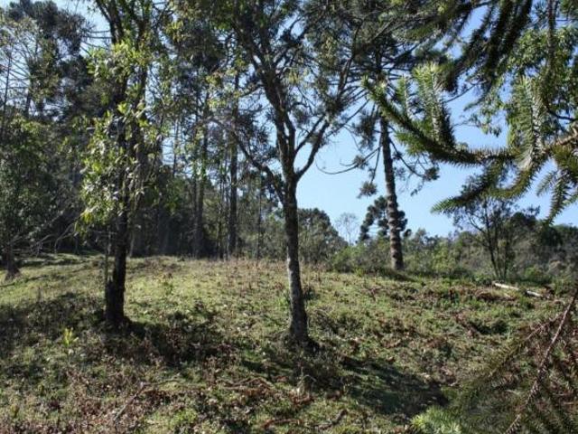 Terreno, Santa Clara, Bocaina de Minas, MG