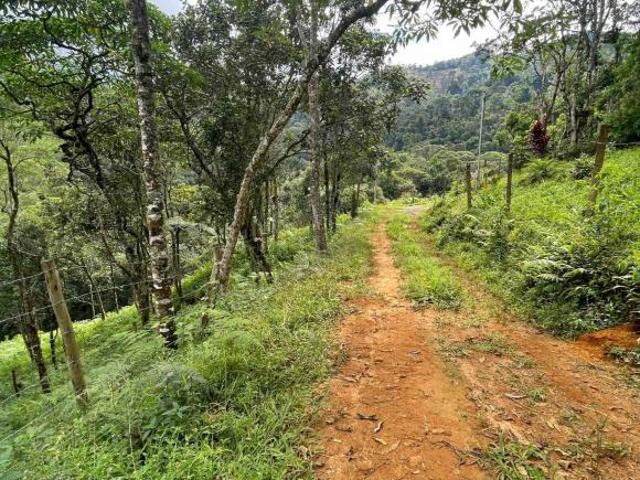 Terreno, Santa Clara, Bocaina de Minas, MG