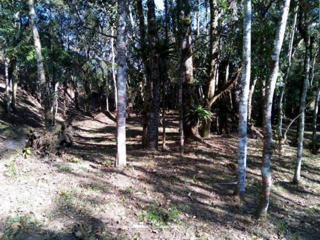 Terreno, Santa Clara, Bocaina de Minas, MG