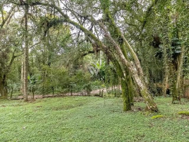 Terreno Santa Felicidade Curitiba