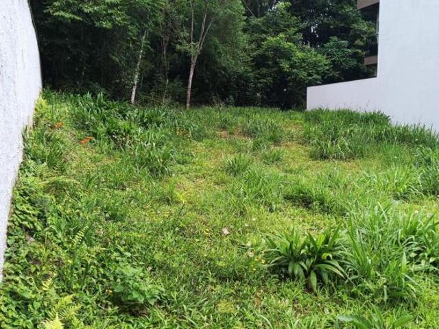 TERRENO SANTA FELICIDADE, POUCOS METROS DO POSTO V