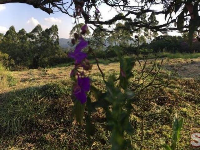 Terreno, Santa Inês, Mairiporã, SP