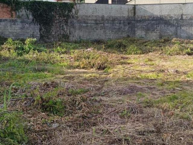 Terreno, Santo Inácio, Curitiba, PR