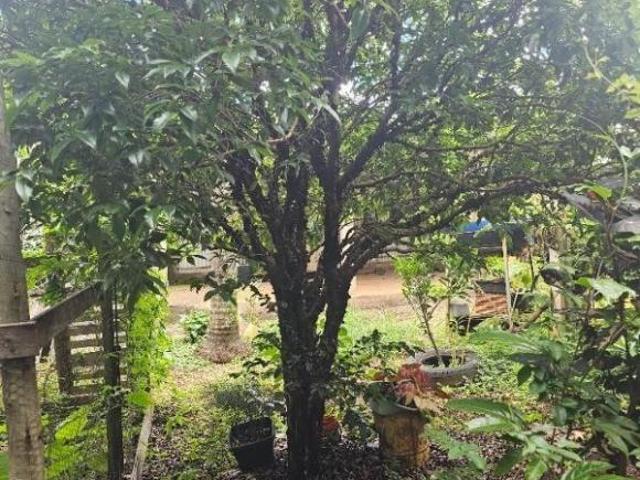 Terreno à venda em Juatuba MG, Bairro Satélite murado, rua asfaltada! ótima localização!