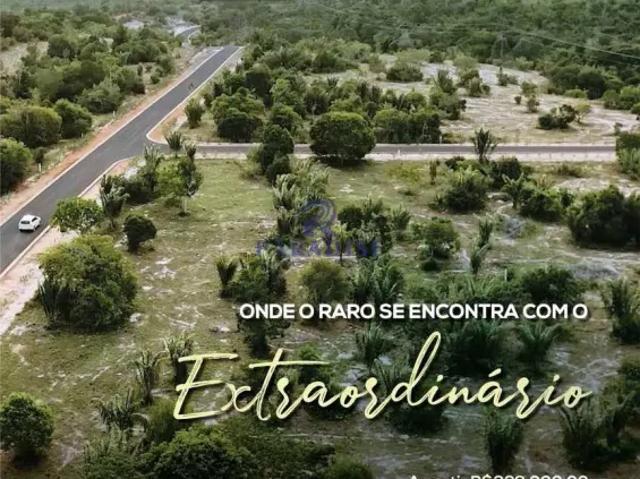 Terreno, Sauípe, Mata de São João R$ 378 mil, Cod: 68971