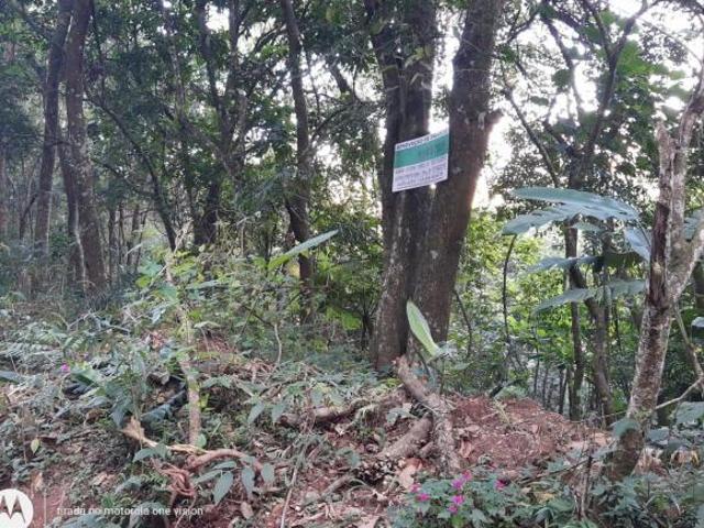 Terreno, Serra da Cantareira, Mairiporã, SP