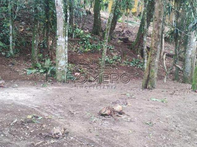 Terreno, Sertão da Quina, Ubatuba R$ 250 mil, Cod: 2557