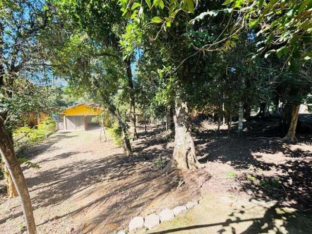 Terreno, Sertão da Quina, Ubatuba R$ 250 mil, Cod: 3010