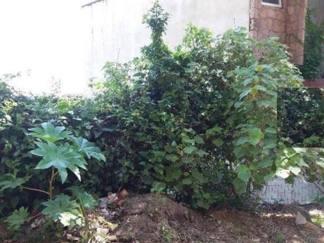 Terreno Setimo Ceu Tristeza
