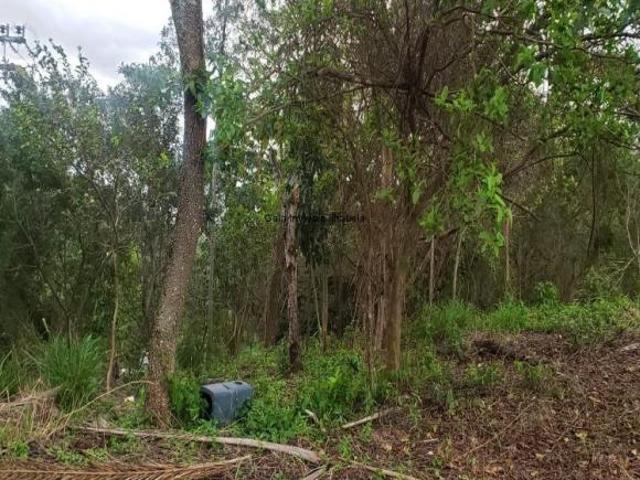 Terreno, Siriuba, Ilhabela, SP