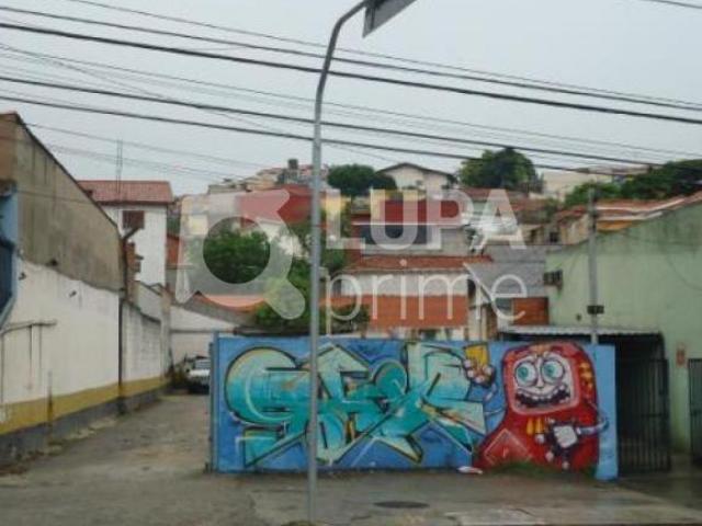 TERRENO TUCURUVI
