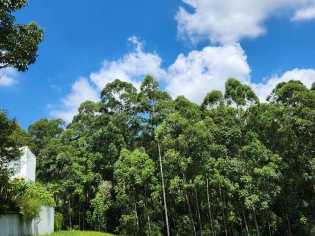 TERRENO TAMBORÉ
