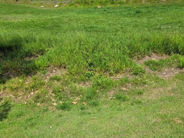 Terreno, Terras da Alvorada, Itupeva, SP