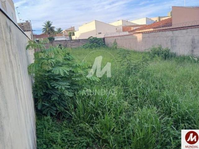 Terreno terreno normal