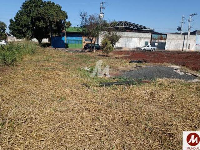 Terreno terreno normal