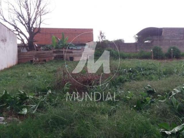 Terreno terreno normal