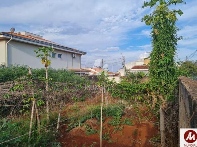 Terreno terreno normal
