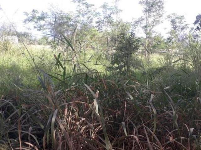 Terreno Terreno Padrão Venda Corrupira Cod. 7665