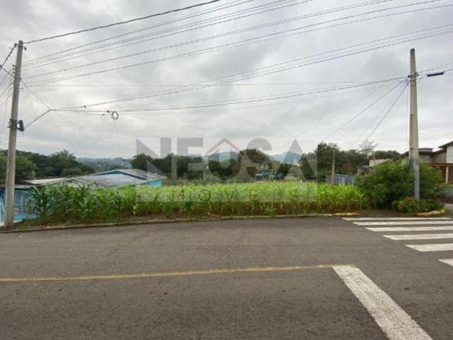 Terreno, Travessão, Dois Irmaos, RS