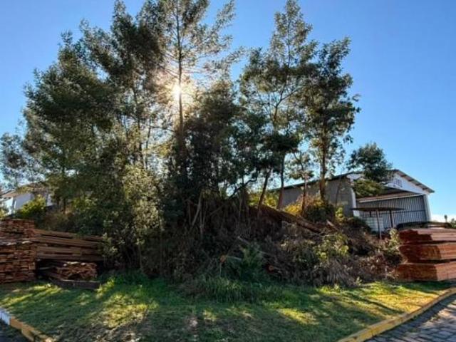 Terreno, Triângulo, Carlos Barbosa, RS