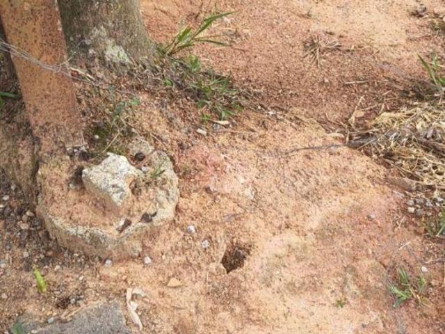 Terreno um pouco declive, sendo 4,80 m2 de frente e 48 m2 de fundos !