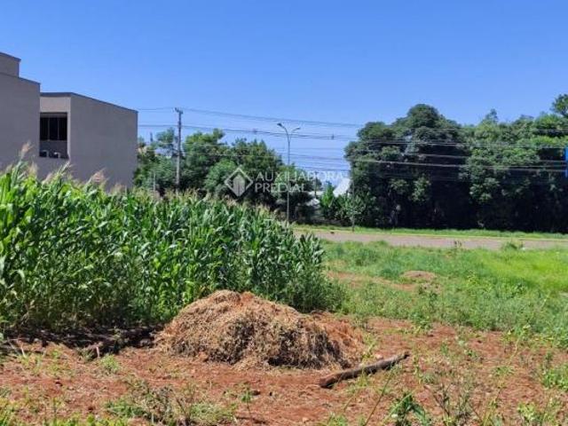 TERRENO UMA QUADRA DA AMAZONAS