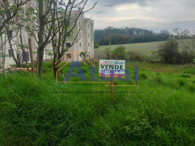 Terreno, Universitario, Santo Angelo, RS