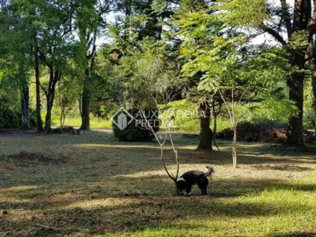 Terreno urbano todo plano a venda em Linha Imperial, Nova Petrópolis RS