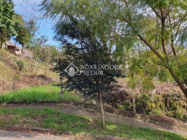 TERRENO URBANO A VENDA AMPLO E ENSOLARADO BAIRRO KAYSER EM CAXIAS DO SUL