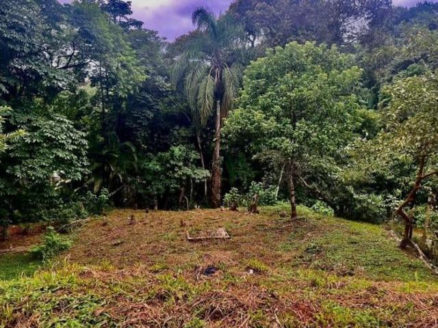 Terreno urbano com 624 m², localizado no tradicion
