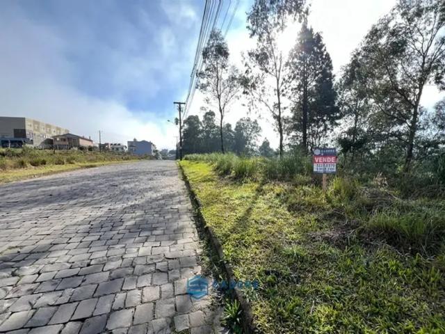 OPORTUNIDADE Negócio terreno Desvio Rizzo