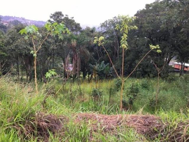 TERRENO URBANO ÓTIMA OPORTUNIDADE PARA CONSTRUTOR