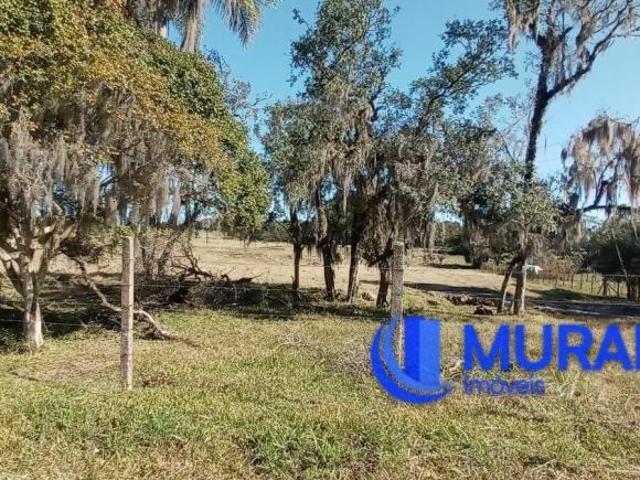 terreno urbano para construção de pavilhão