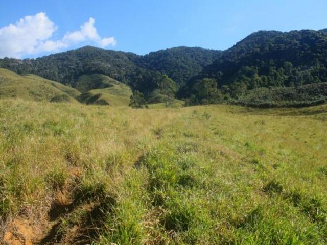 Terreno, Vale da Prata, Bocaina de Minas, MG
