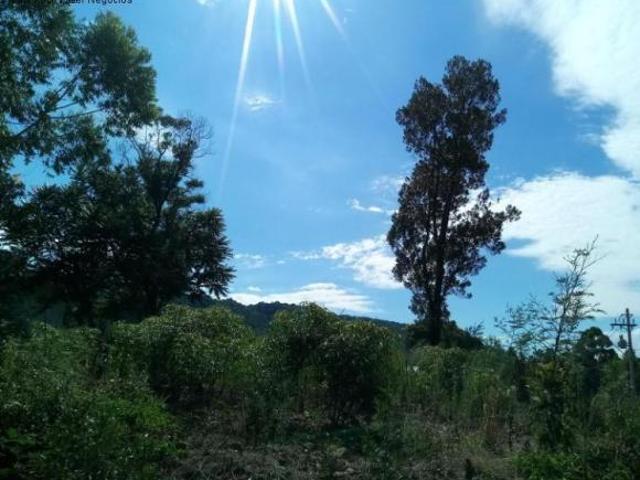 Terreno, Vale Verde, Nova Petrópolis, RS