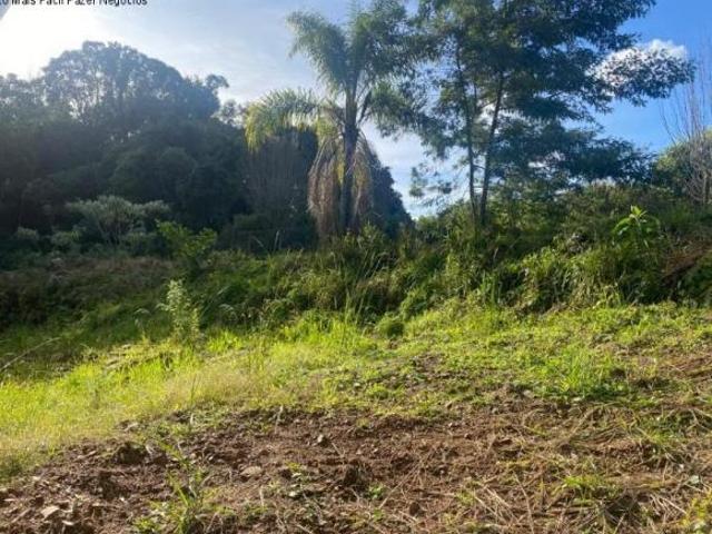 Terreno, Vale Verde, Nova Petrópolis, RS