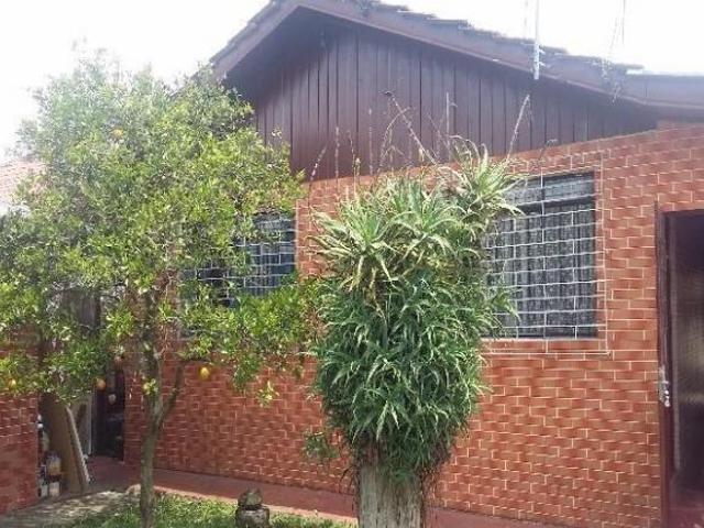 Terreno, Vargem Grande, Pinhais, PR