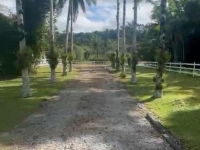 Terreno Venda Águas Mornas SC Centro