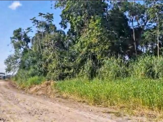Terreno Venda Araquari SC Areias Pequenas